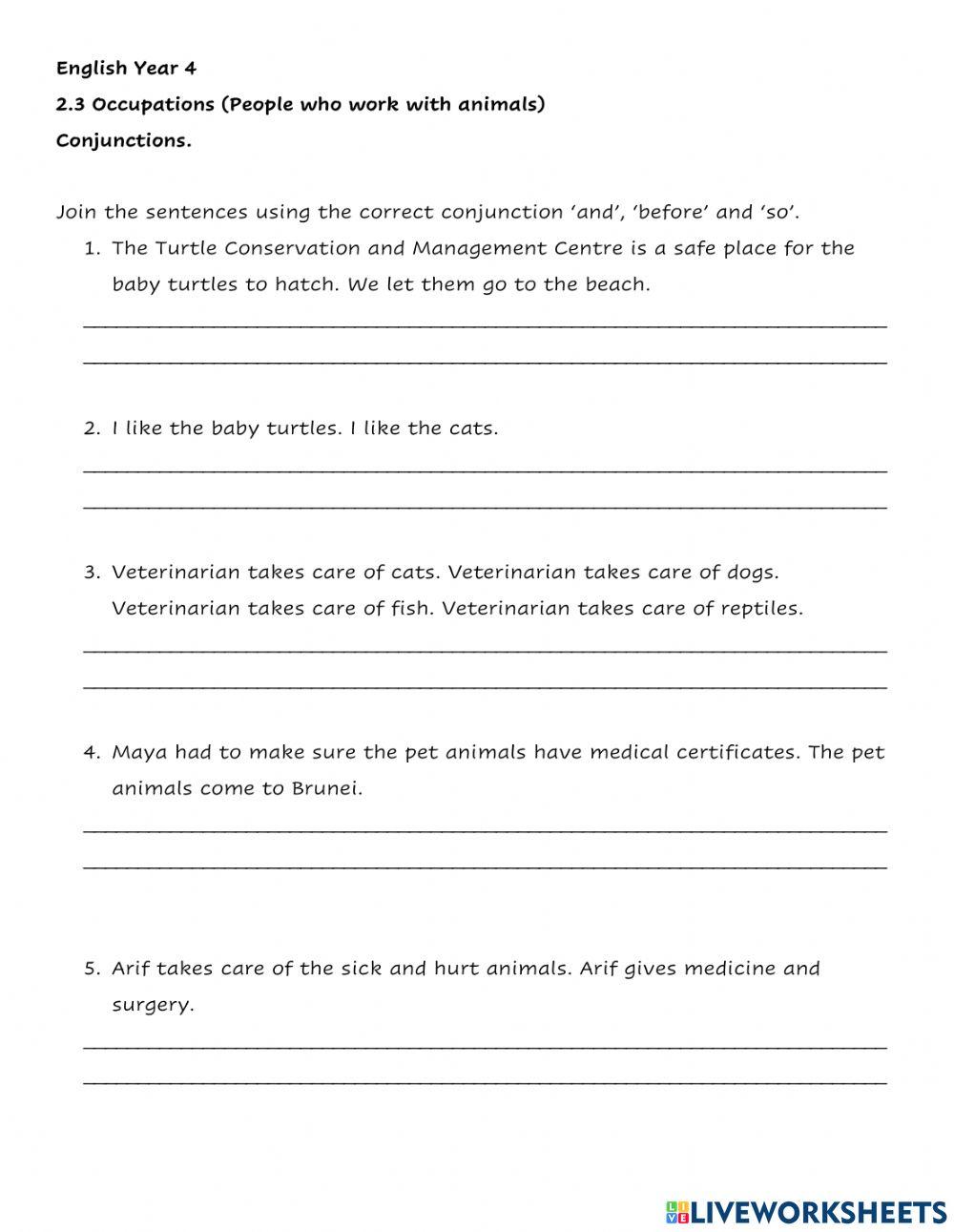 Conjunction and, so, before worksheet | Live Worksheets