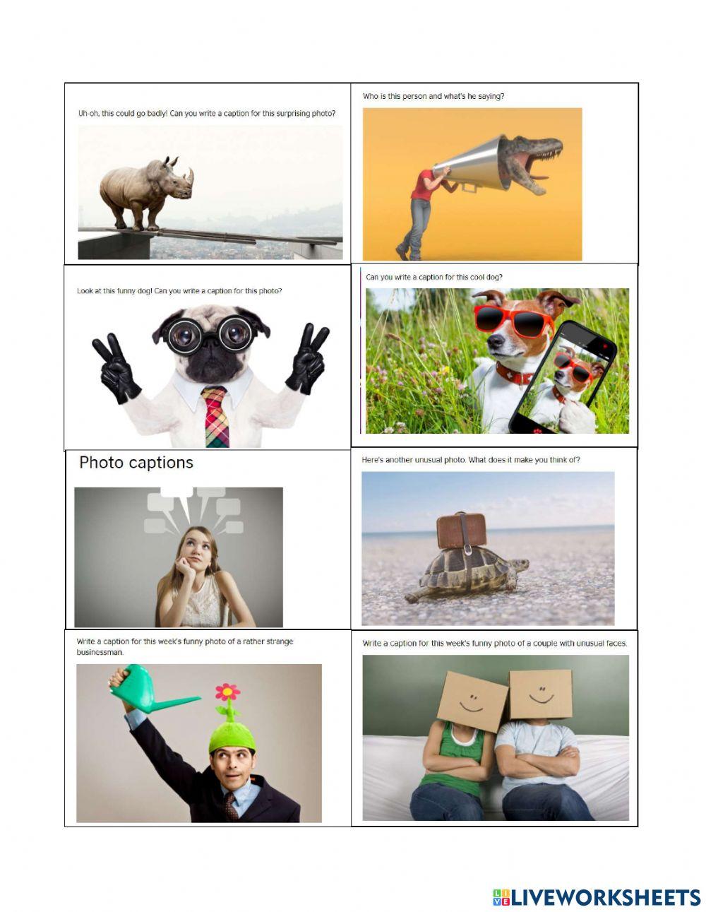 photo caption 1 online exercise for | Live Worksheets