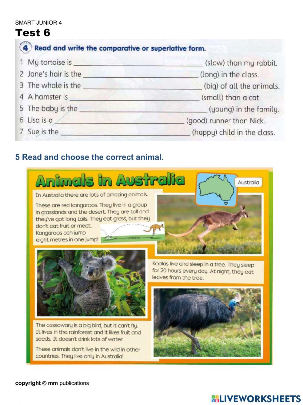 Smart Junior 4 … | Free Interactive Worksheets | 6862938