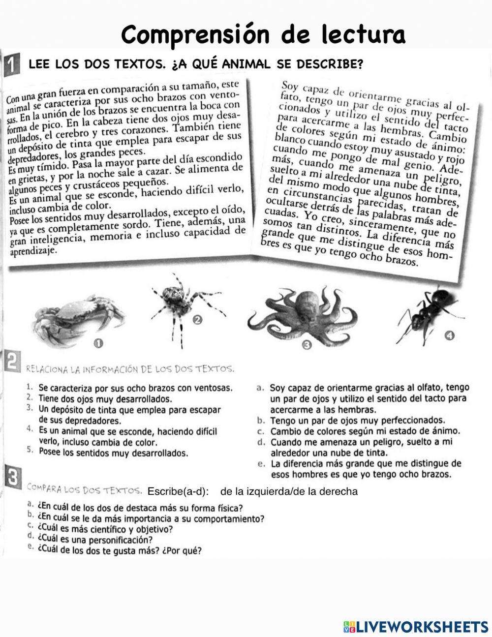 Qué animal es activity | Live Worksheets