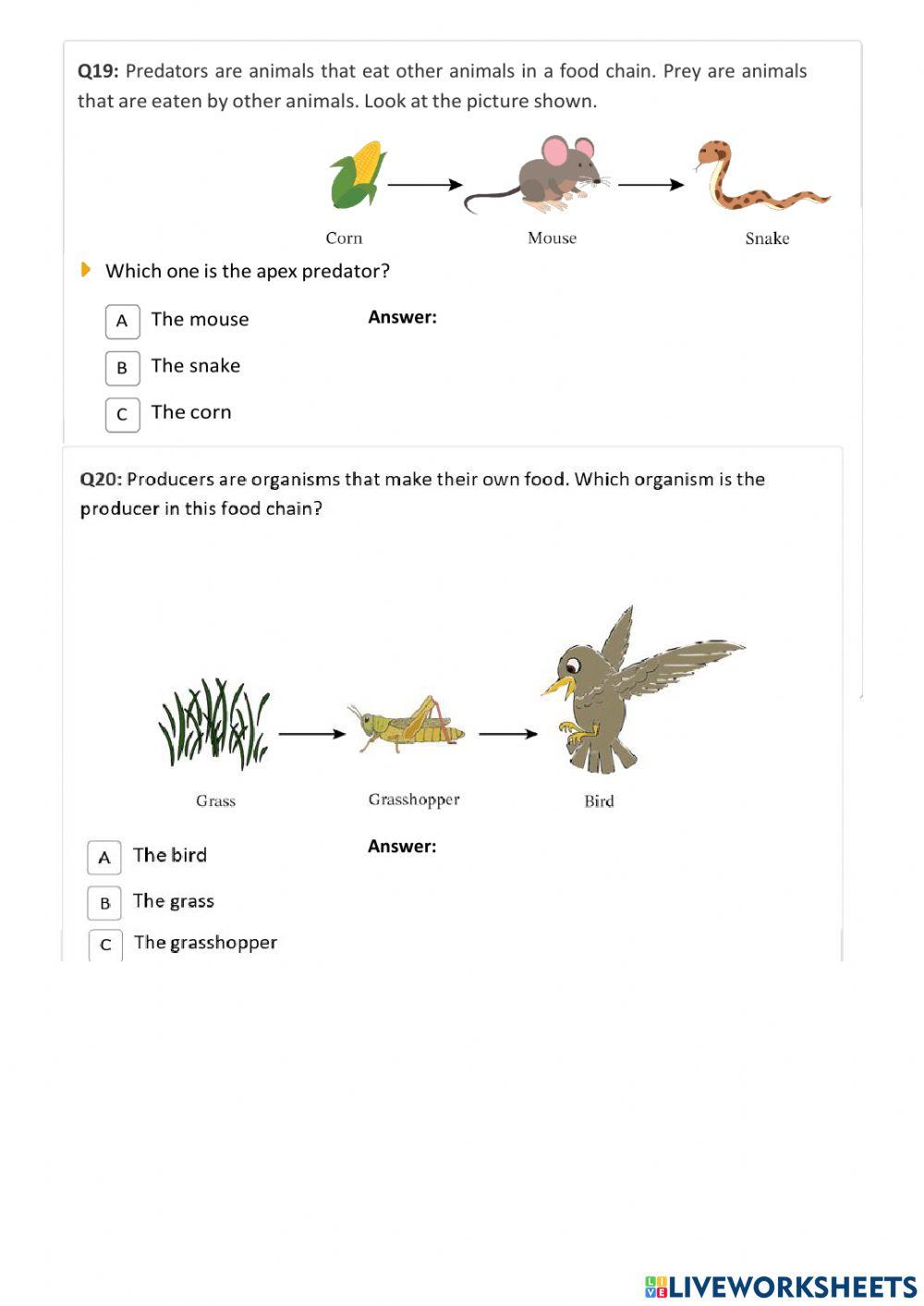Student Assembly - Food Web II online exercise for | Live Worksheets