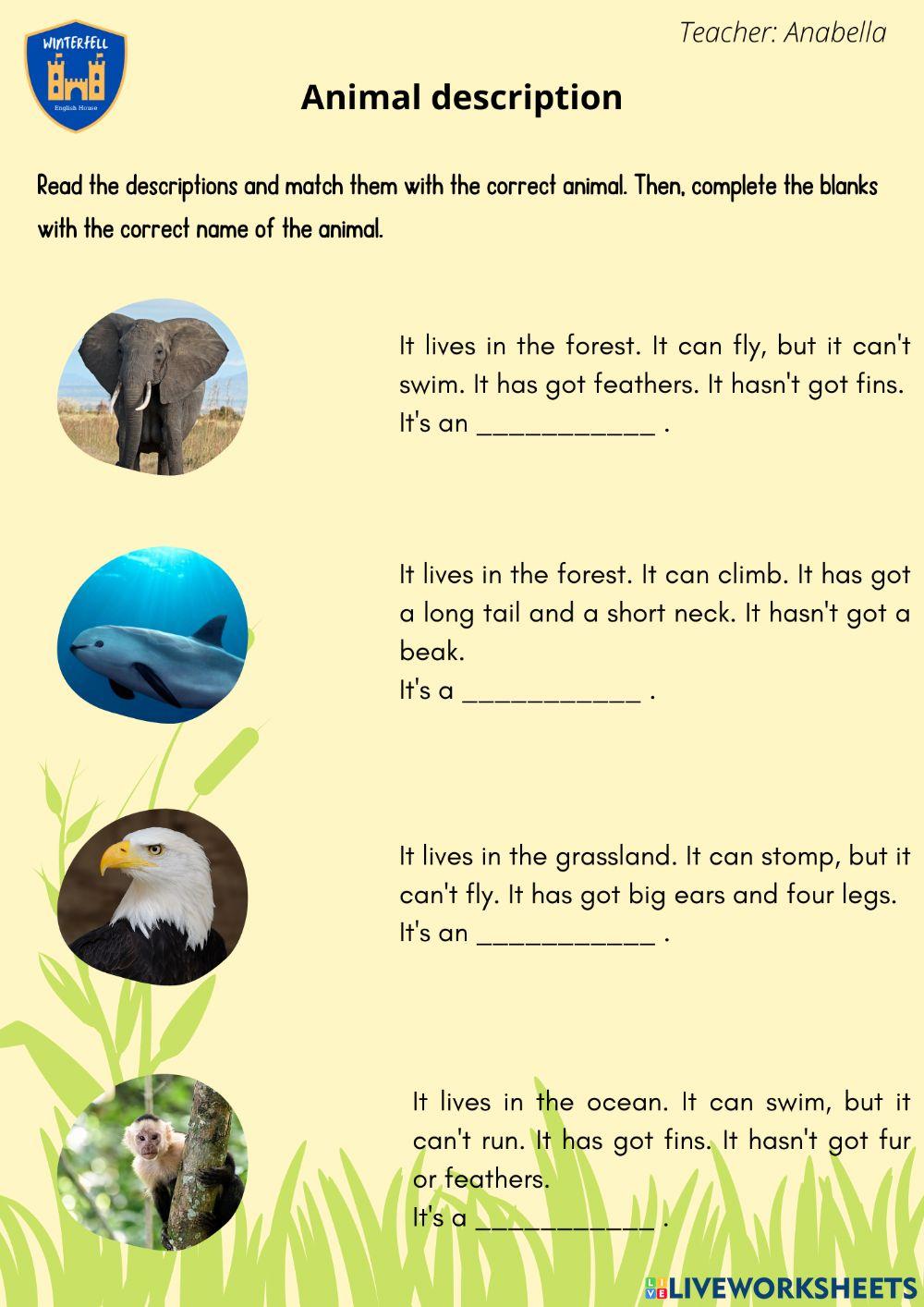 Animal description 1996092 | AnabellaBarbosa | Live