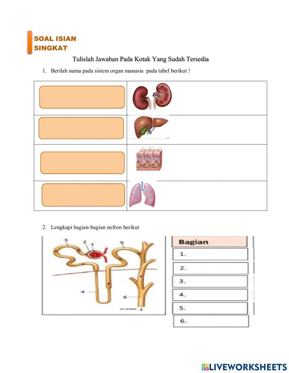 Sma interactive worksheet | Live Worksheets