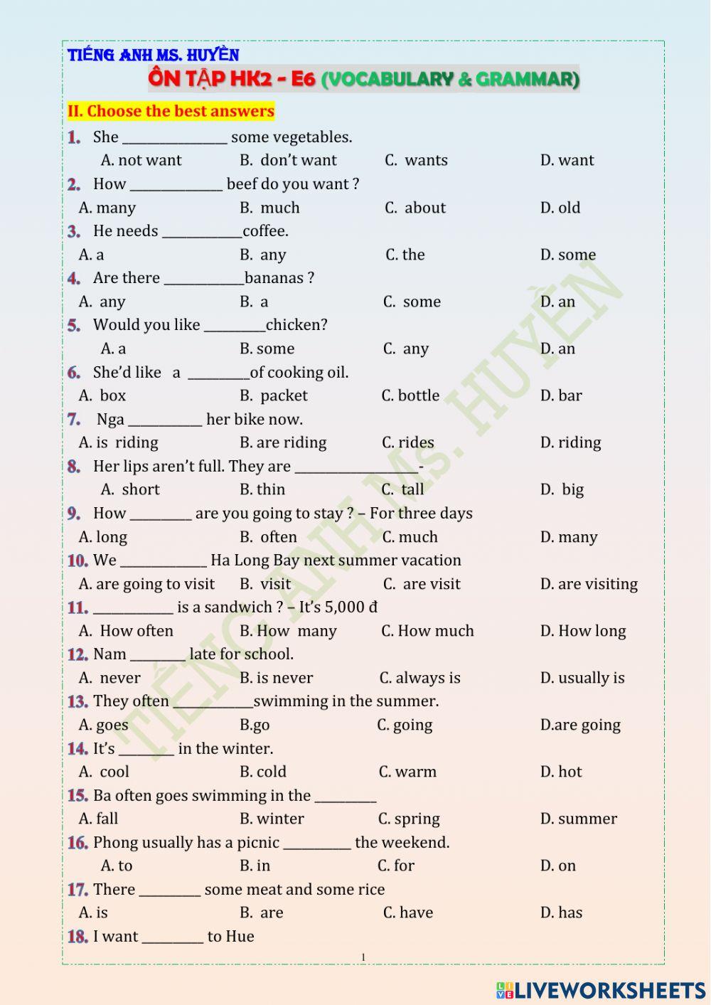 E6 vocab and grammar worksheet | Live Worksheets