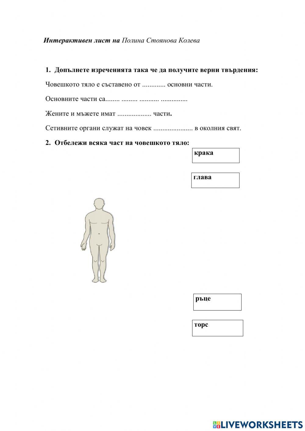 Човешкото тяло 1998219 Polina Koleva Live Worksheets