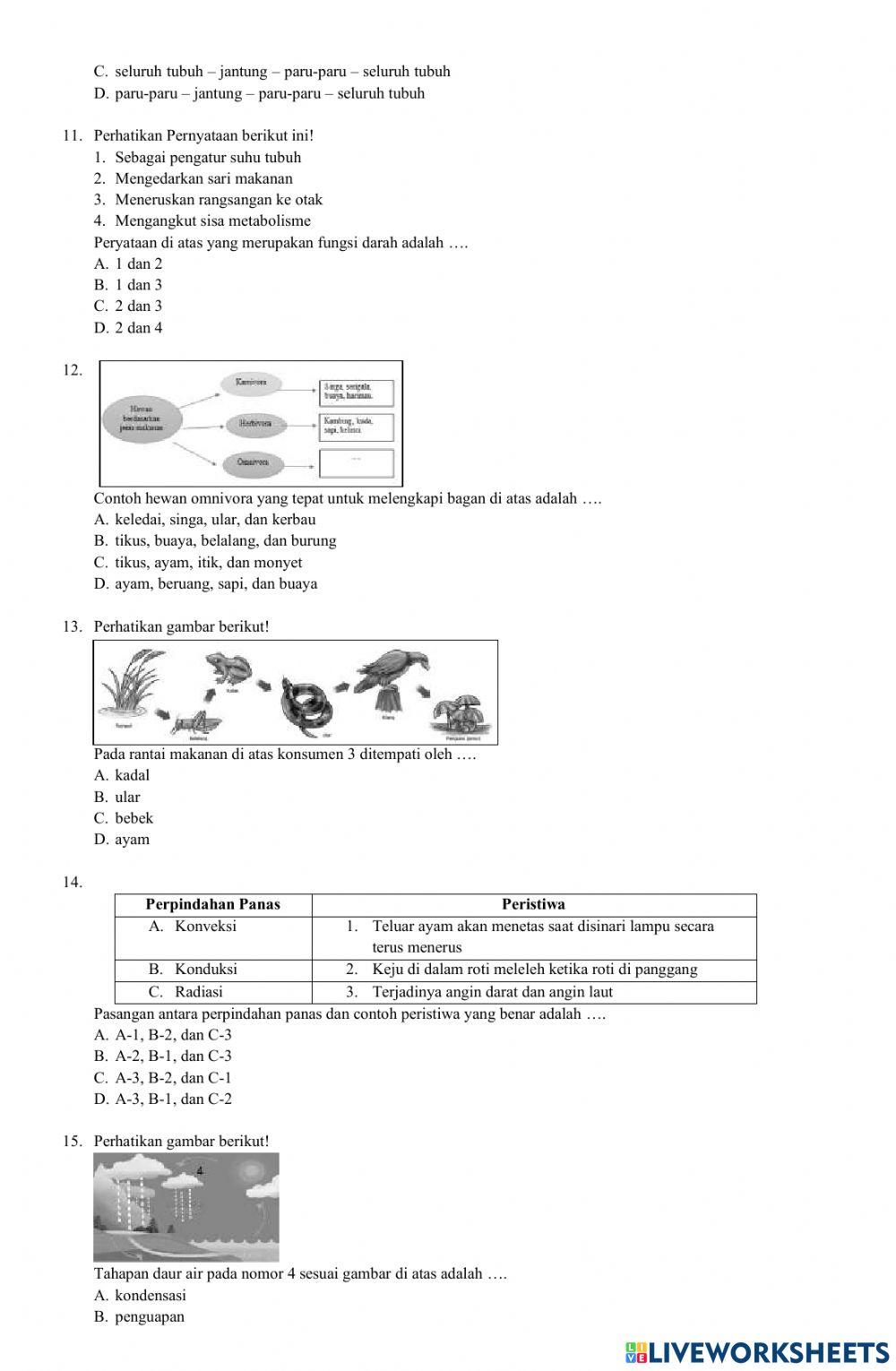 Ipa online exercise for 6 | Live Worksheets