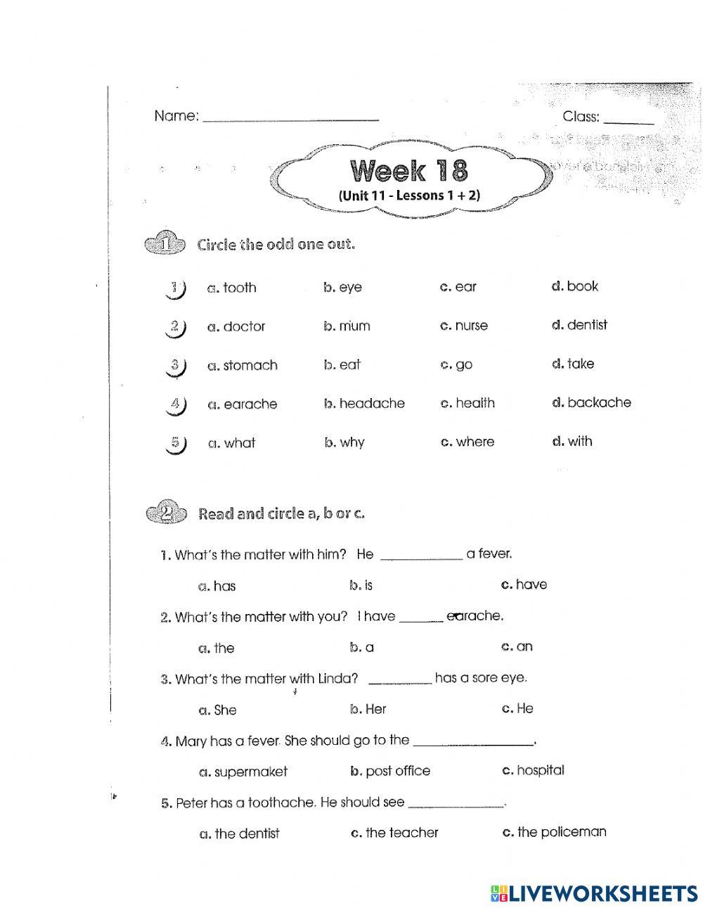 Week 18&19 worksheet | Live Worksheets