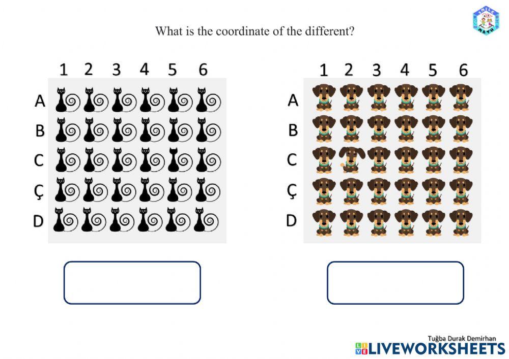 Attention work worksheet | Live Worksheets