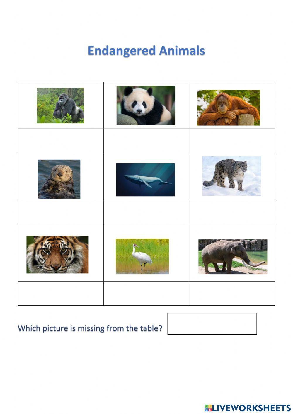 Endangered Animals interactive worksheet for 2 | Live Worksheets