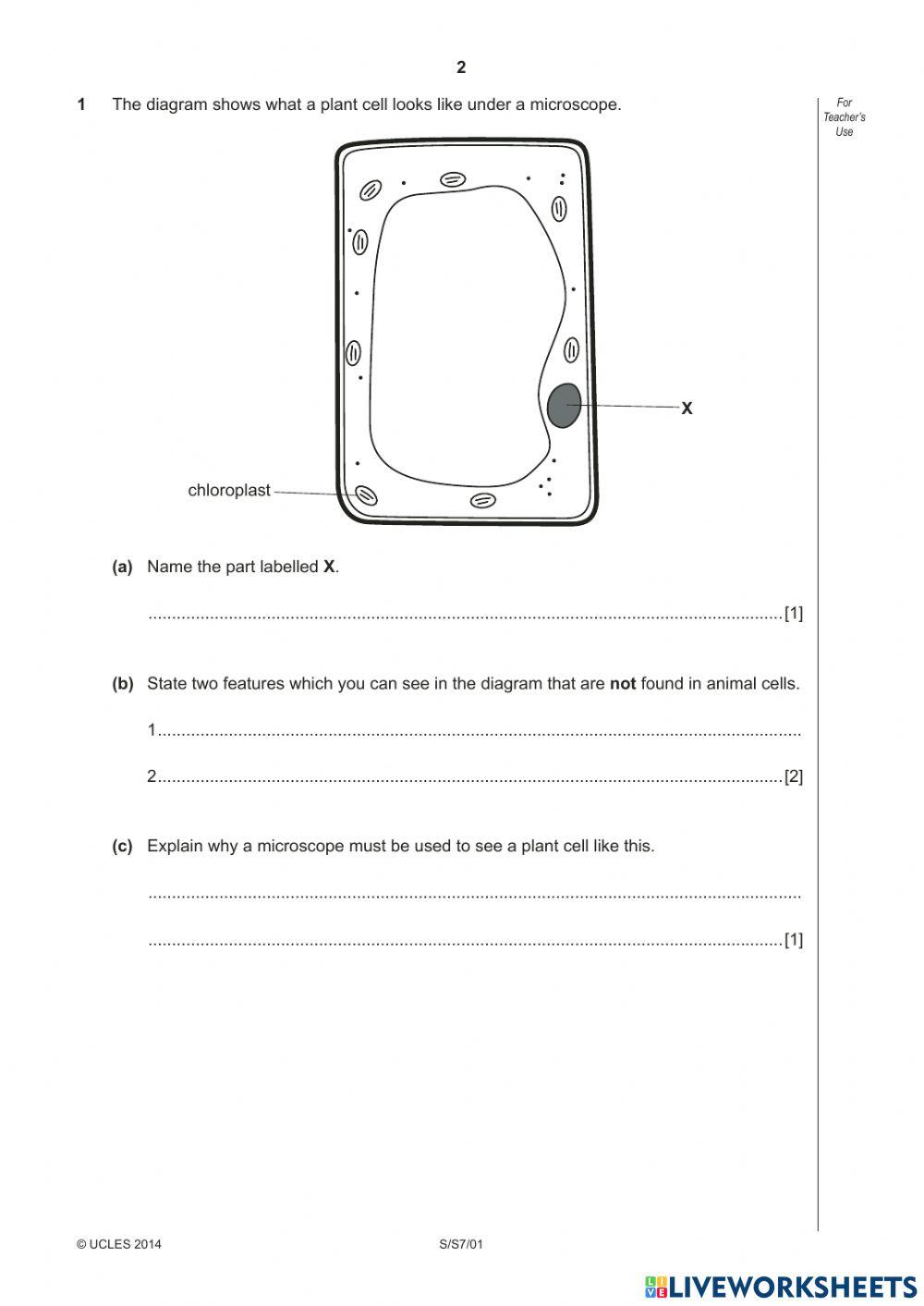 5326982 | Grade 6 End of Semester Revision Paper 1 Part 1