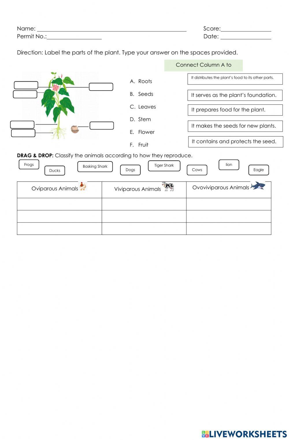 El Liveworkisheet online exercise for | Live Worksheets