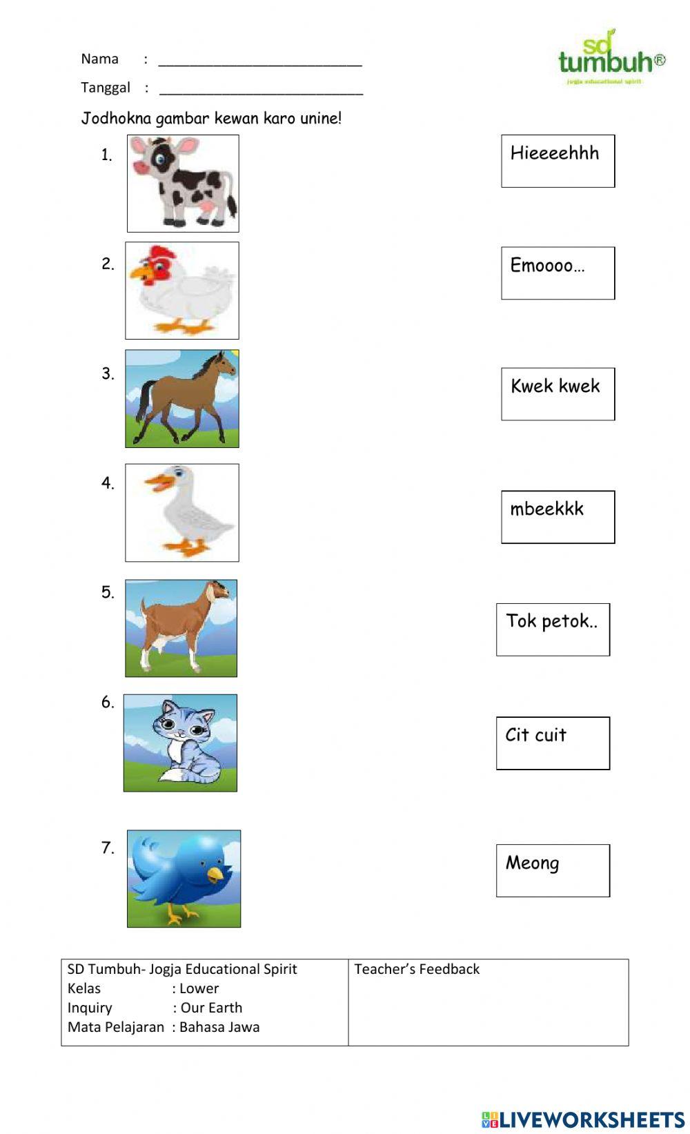 Bahasa Jawa-Evaluasi ngerteni gambar lan swara kewan