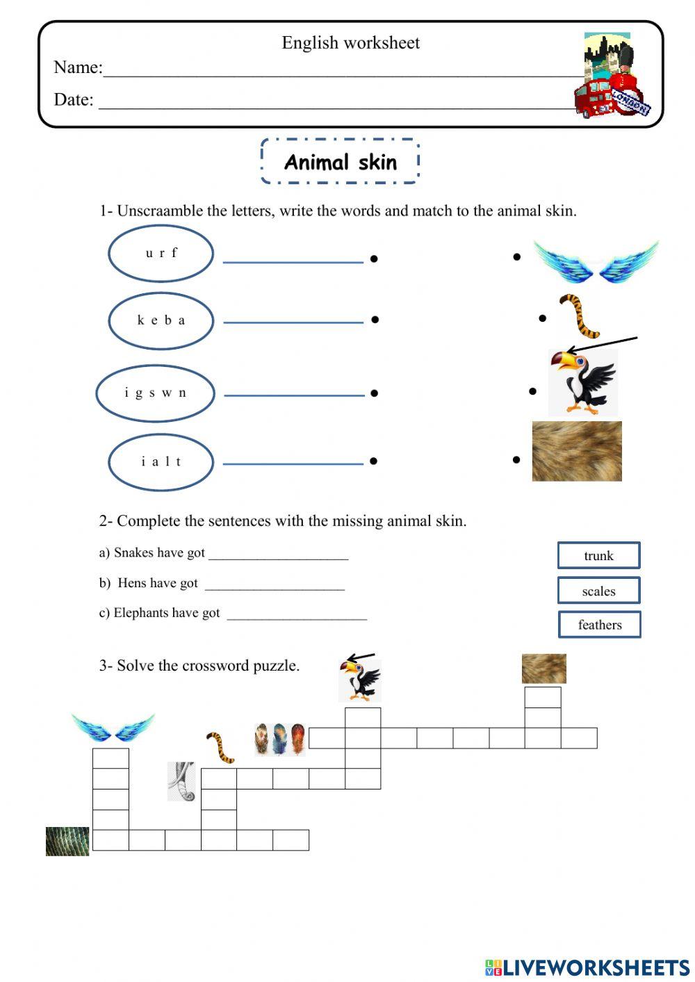 2002041 | Animal skin | Mónica Farinha | LiveWorksheets