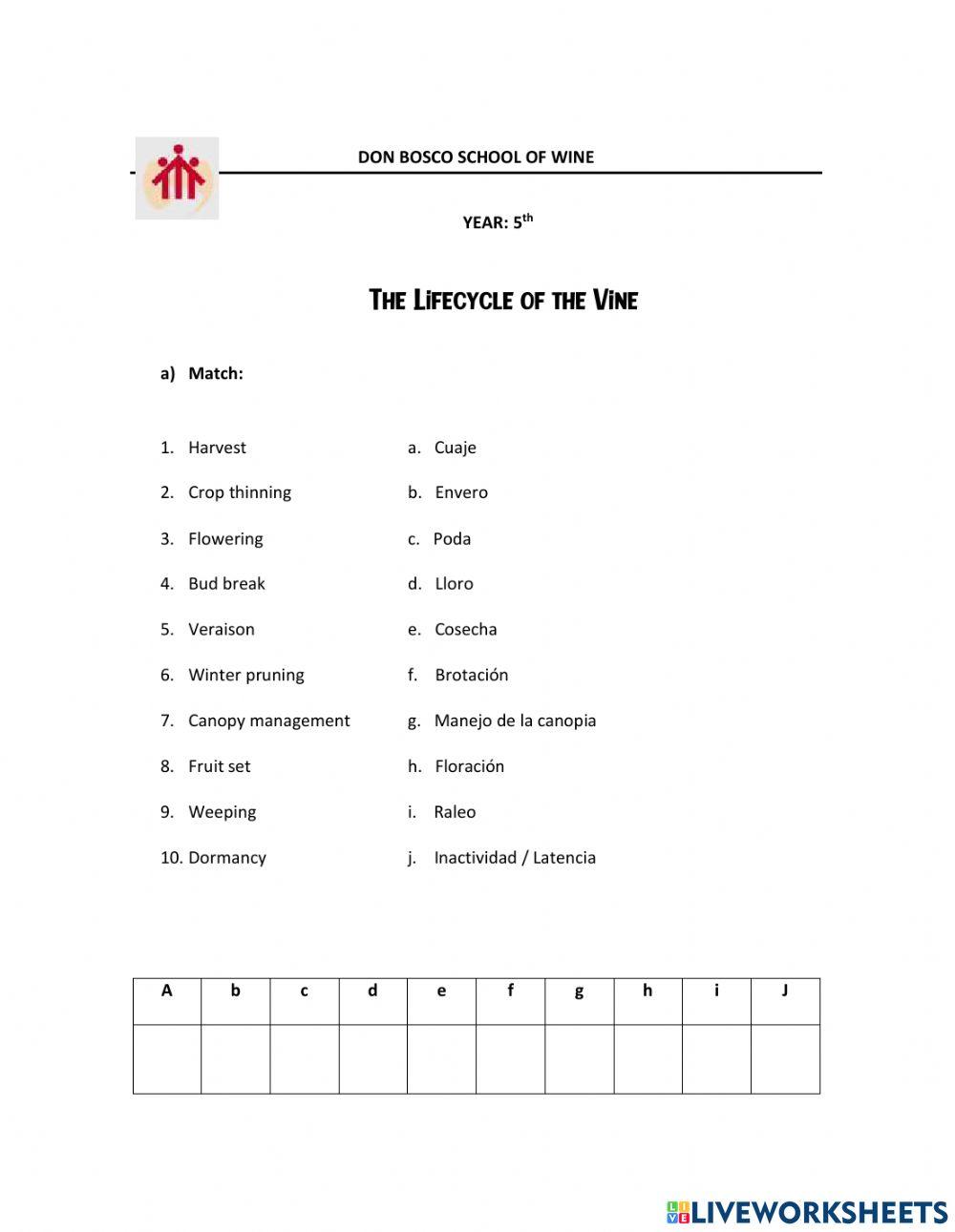 The Vine worksheet | Live Worksheets