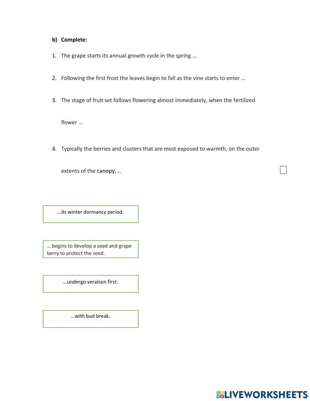 The Vine worksheet | Live Worksheets