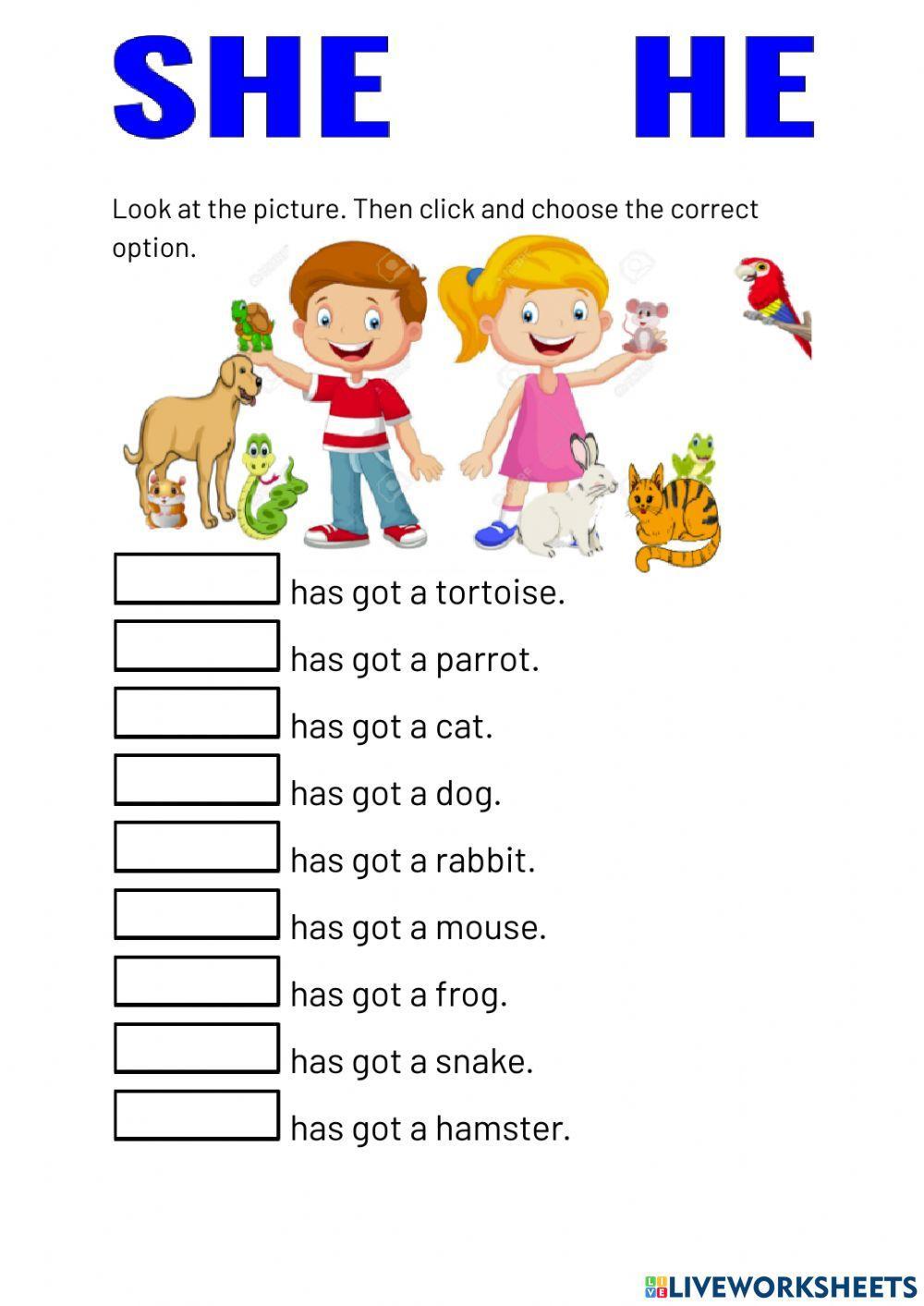 1978680 | She he has got | Sara Peg | LiveWorksheets