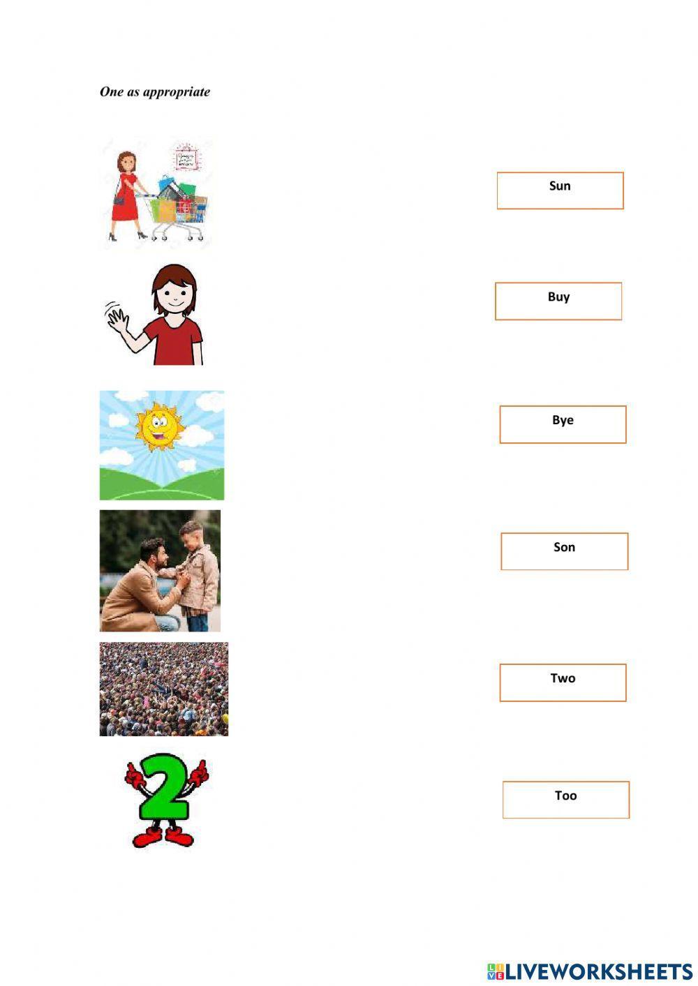 Homophones Words | Live Worksheets