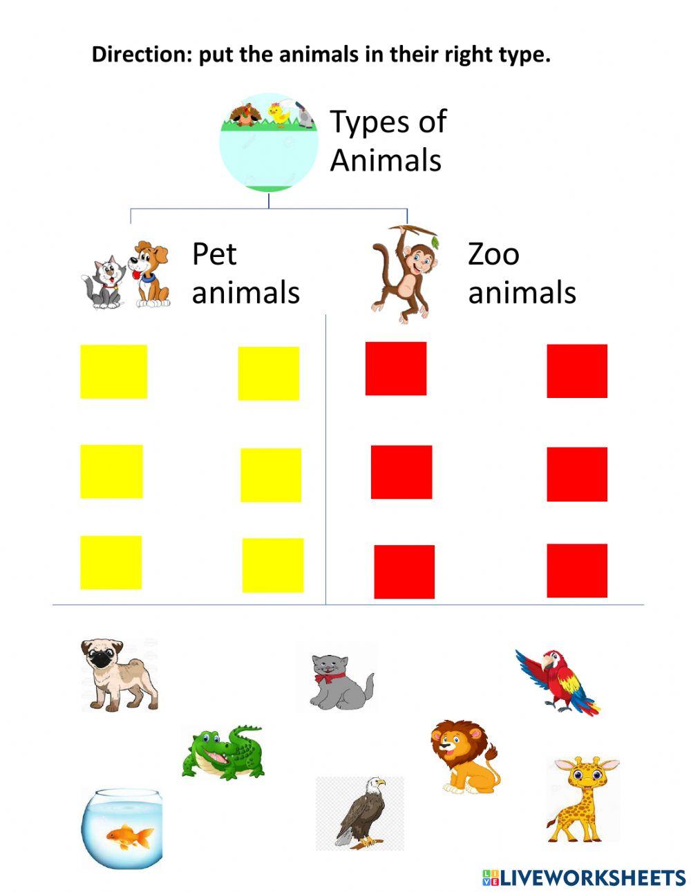 Types of Animals online exercise for | Live Worksheets