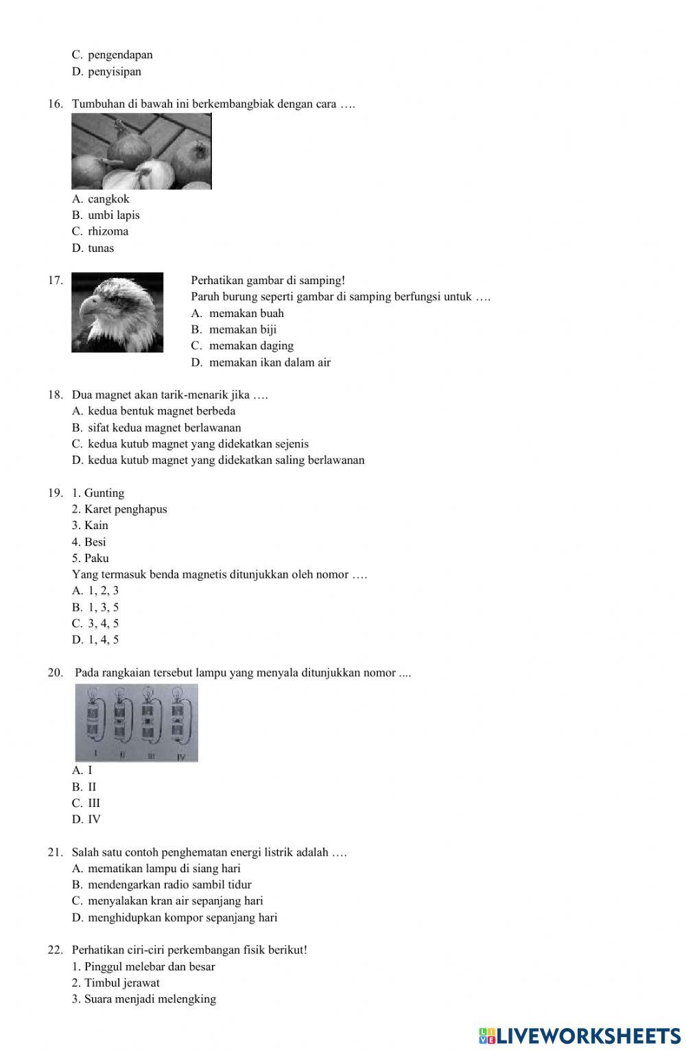 Ipa online exercise for 6 | Live Worksheets
