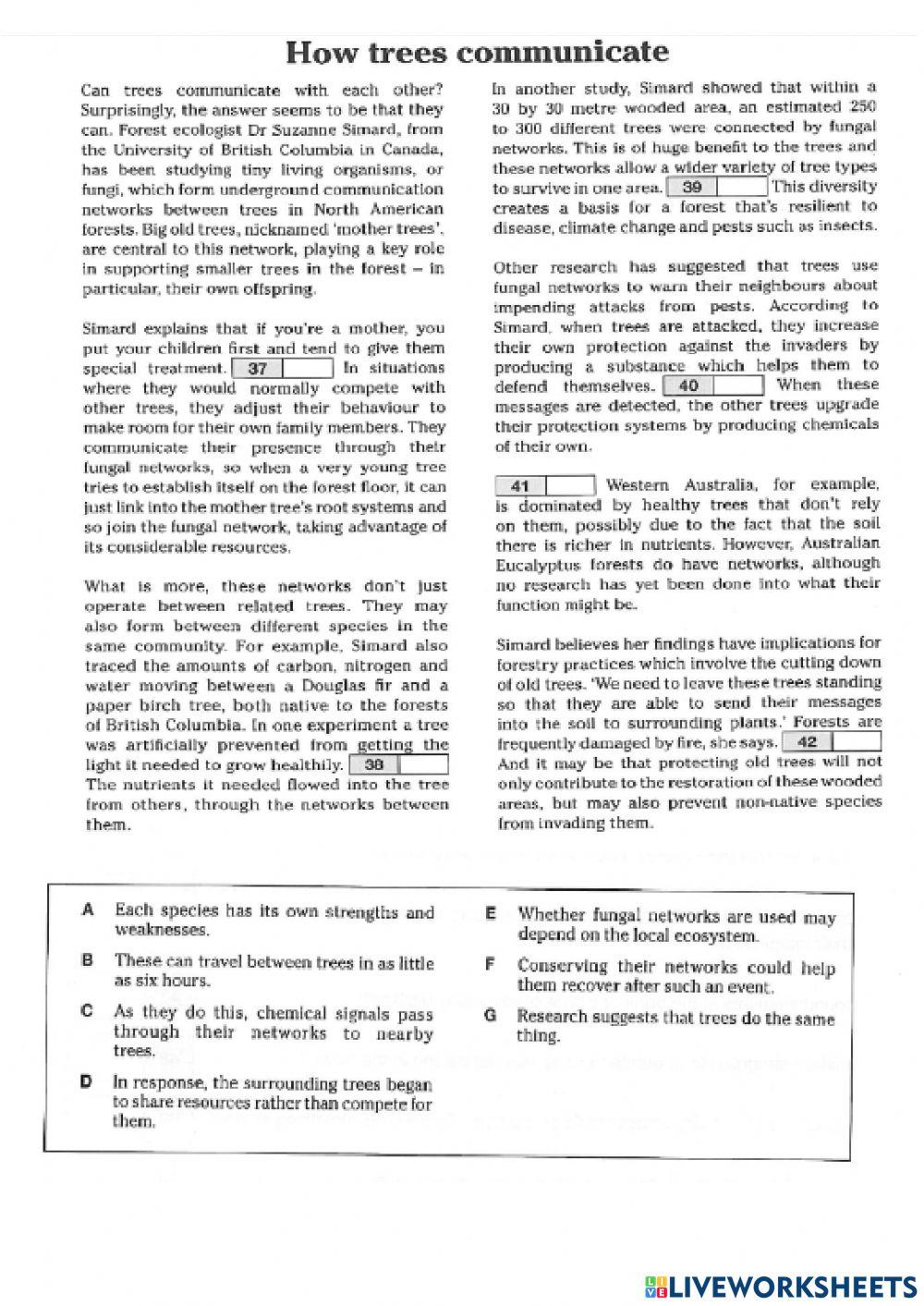 B2 first for sc… | Free Interactive Worksheets | 2005455