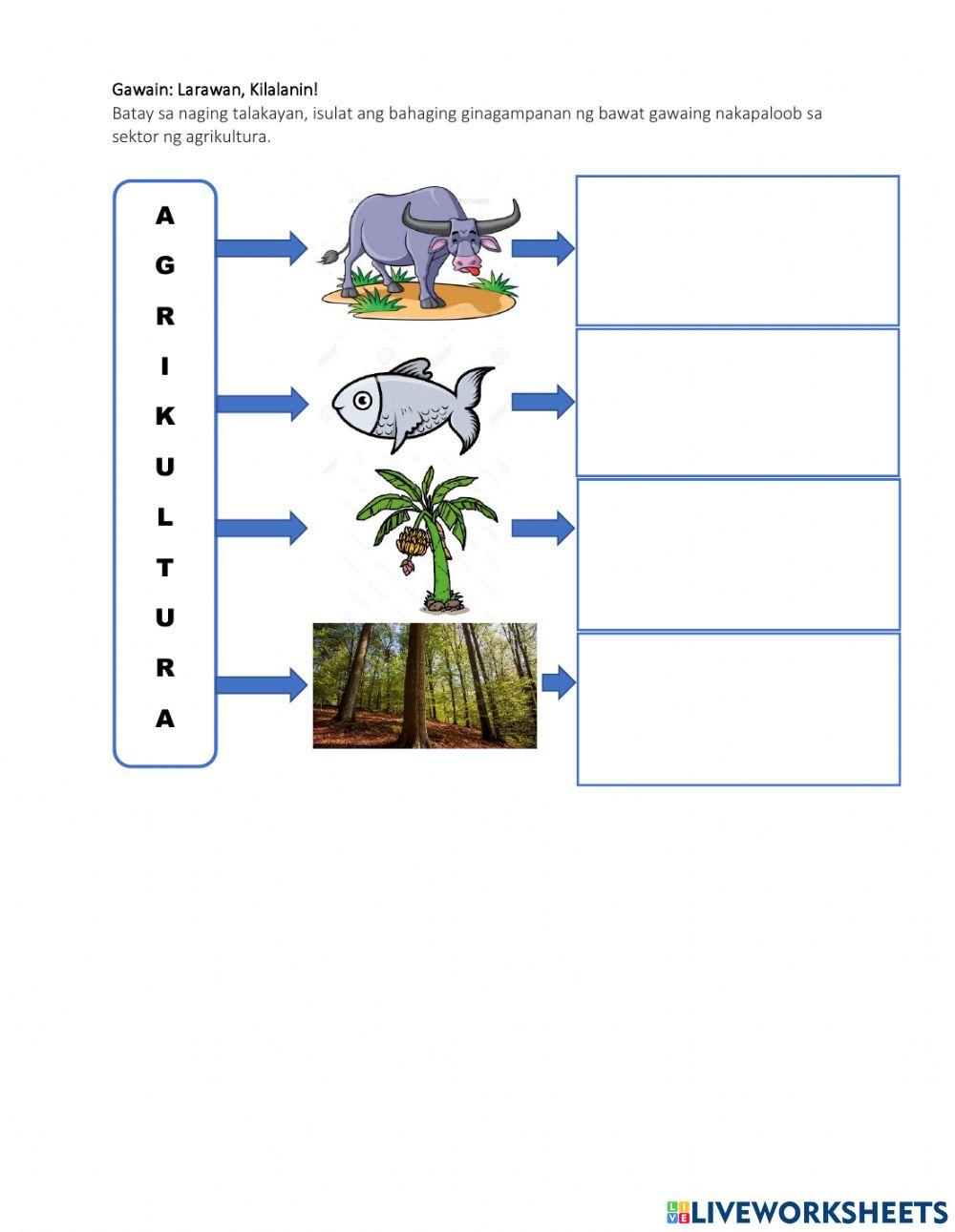 AP 9 Gawain: Pagkilala sa Agrikultura online exercise for | Live Worksheets