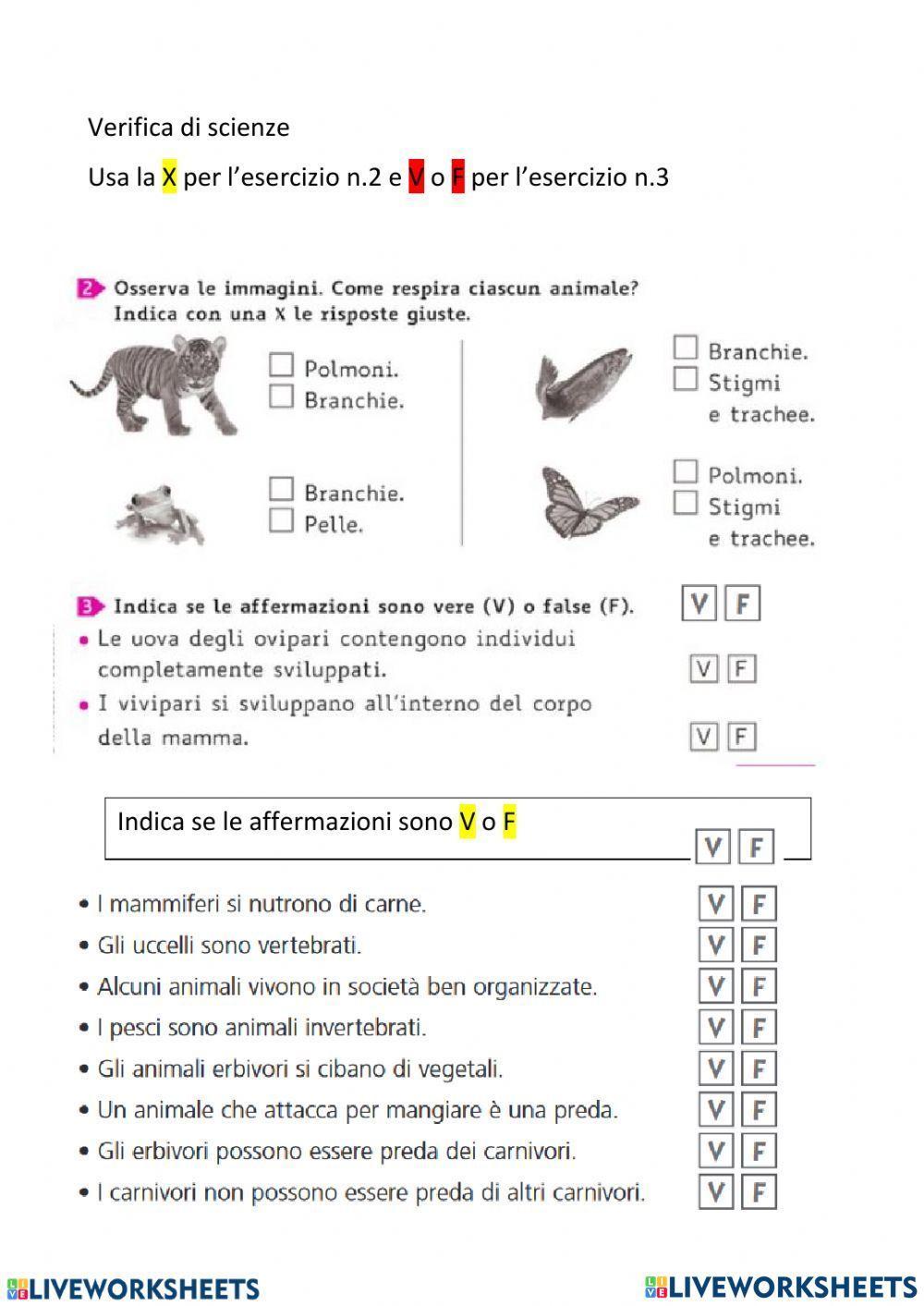 Verifica scienze exercise | Live Worksheets