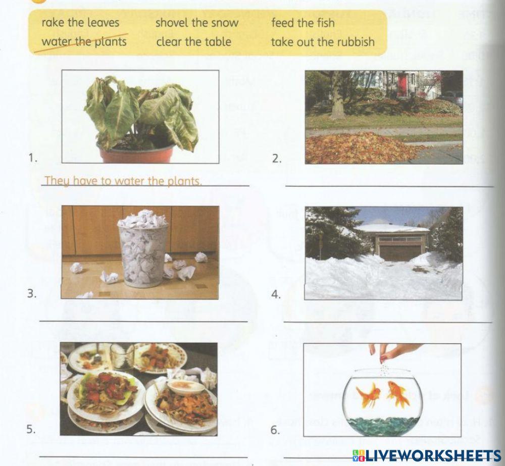 GSP 4 WB - Page 14 worksheet | Live Worksheets