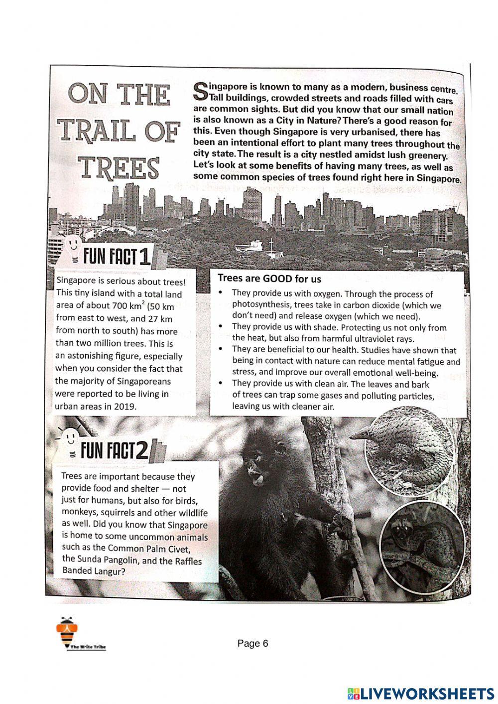 2021 Week 4 PAPER 2 VISUAL TEXT p5-6 part 1 worksheet | Live Worksheets