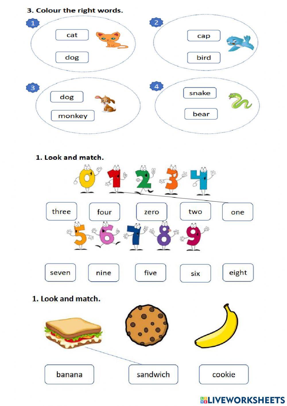 DE TONG ON TAP KI 2 L1 online exercise for | Live Worksheets