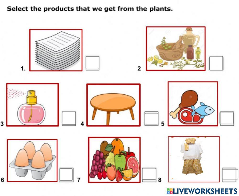 Things We Get From Plants Online Exercise For Live, 51% OFF