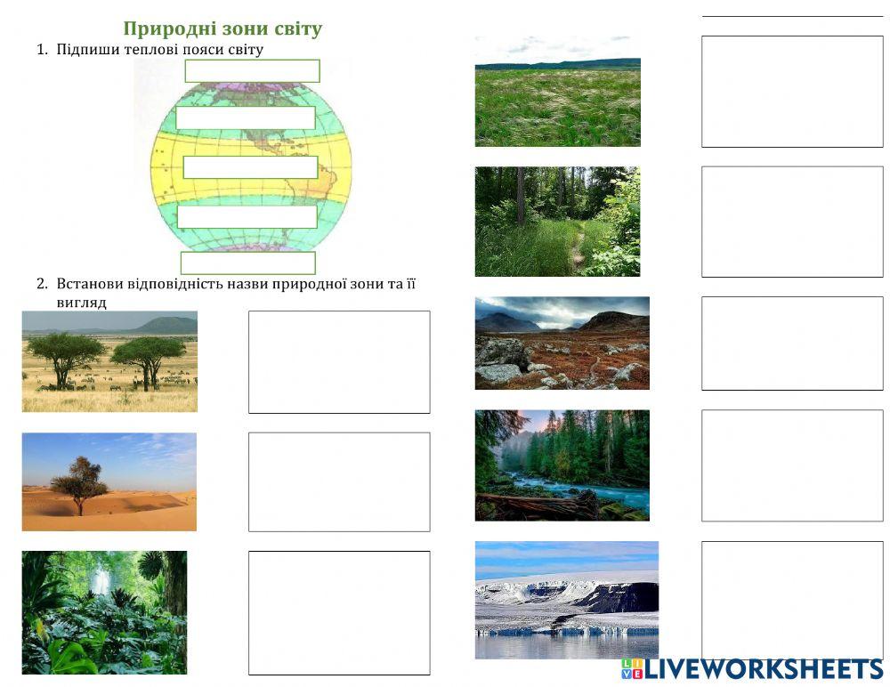 Природні зони світу Worksheet Live Worksheets