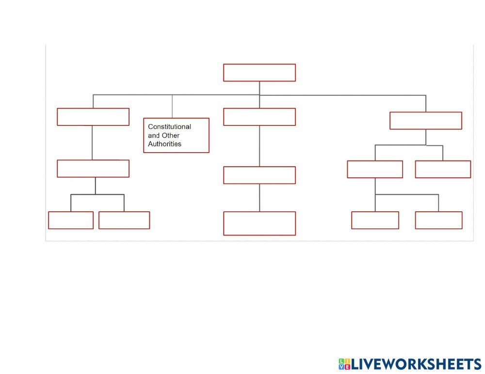 5329167 | Social Studies: Structure and Function of the