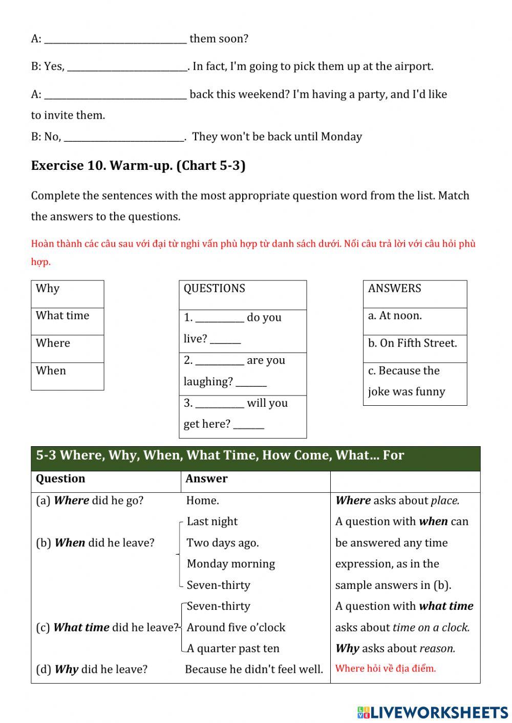 Asking questions 2 exercise | Live Worksheets