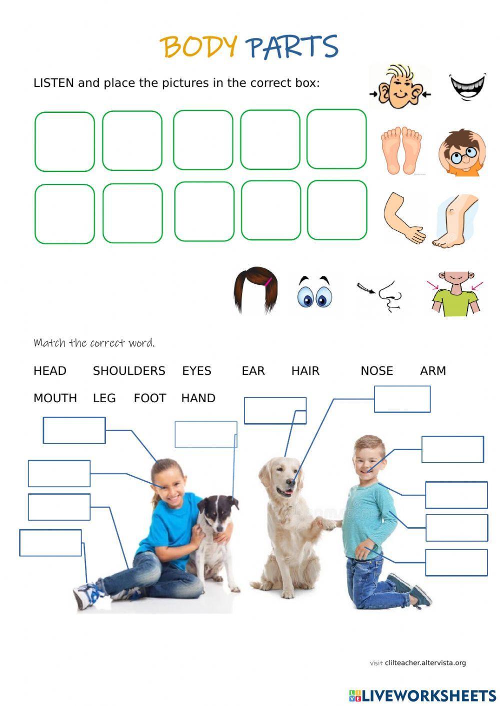 2012513 | Body parts | teacher_Sylvie | LiveWorksheets