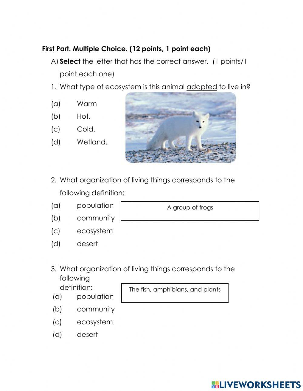 Science short test worksheet | Live Worksheets