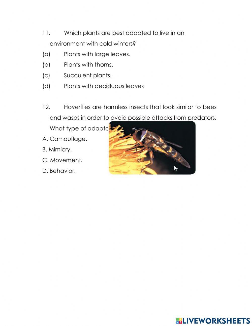 Science short test worksheet | Live Worksheets