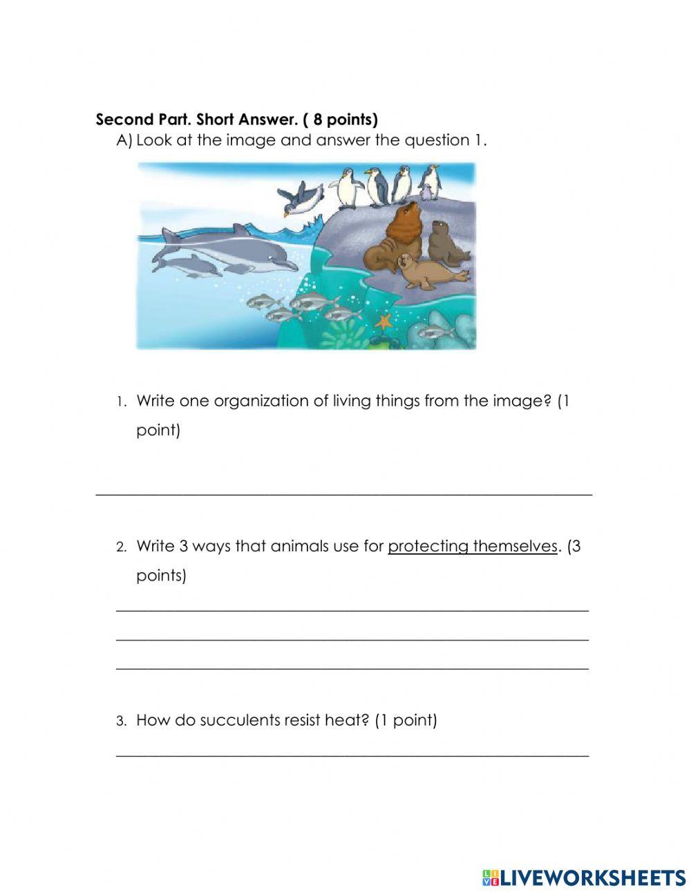 Science short test worksheet | Live Worksheets