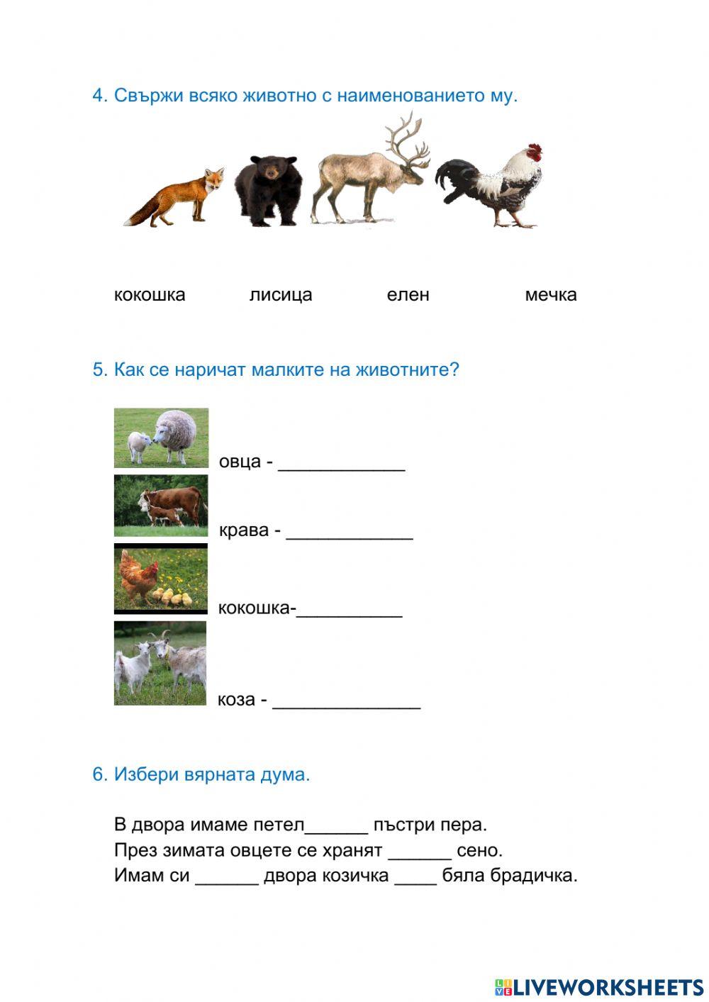 Диви и домашни животни 1 клас нов Online Exercise For Live Worksheets