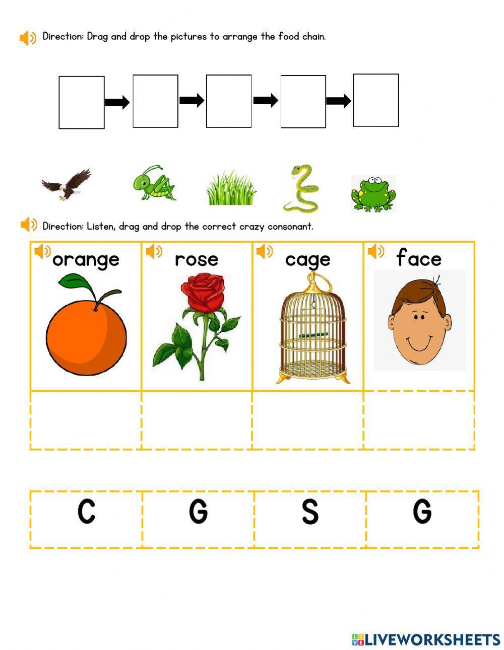 Kinder Summative Assessment Week 36 worksheet | Live Worksheets