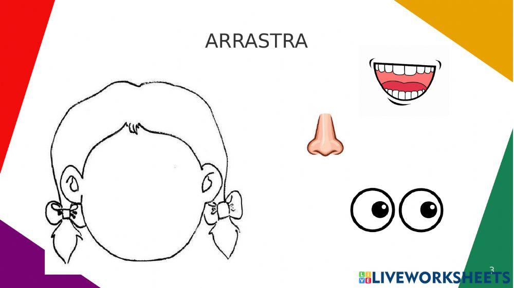 Las partes de la cara interactive worksheet for Infantil, 1º y 2º de ...