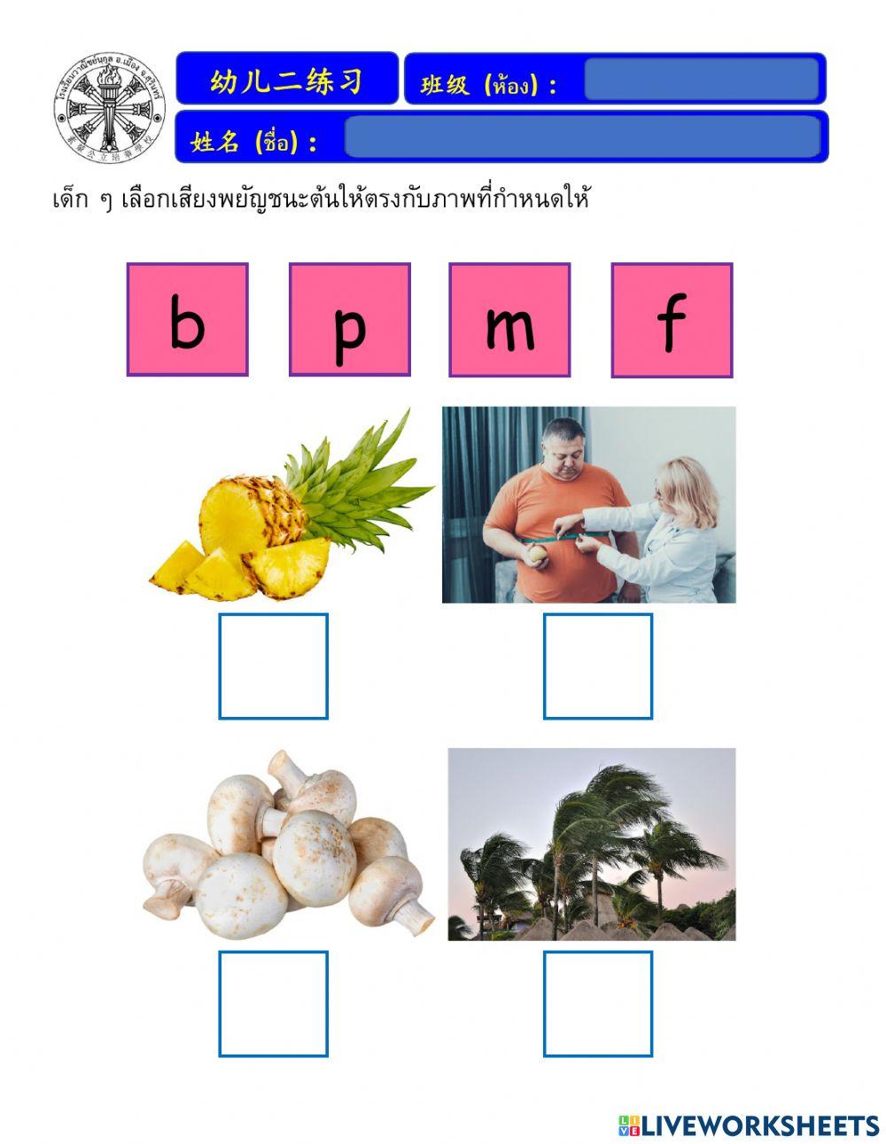 b p m f online exercise for | Live Worksheets