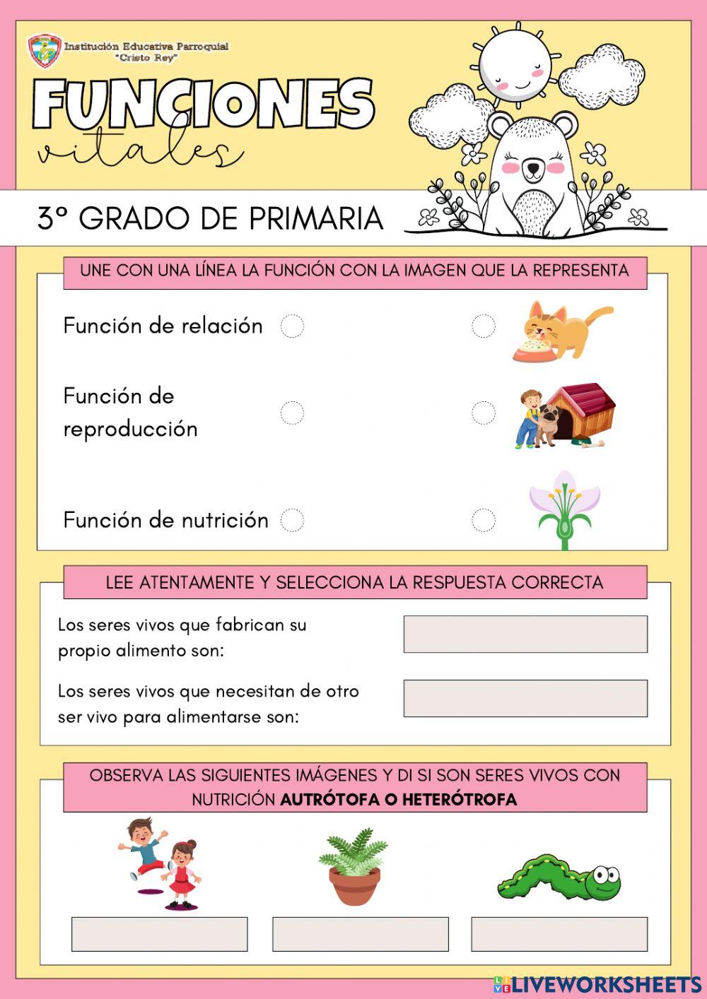 Funciones Vitales De Los Seres Vivos Ficha Interactiva – Eroppa Funciones Vitales De Los Seres Vivos Ficha Interactiva – Eroppa