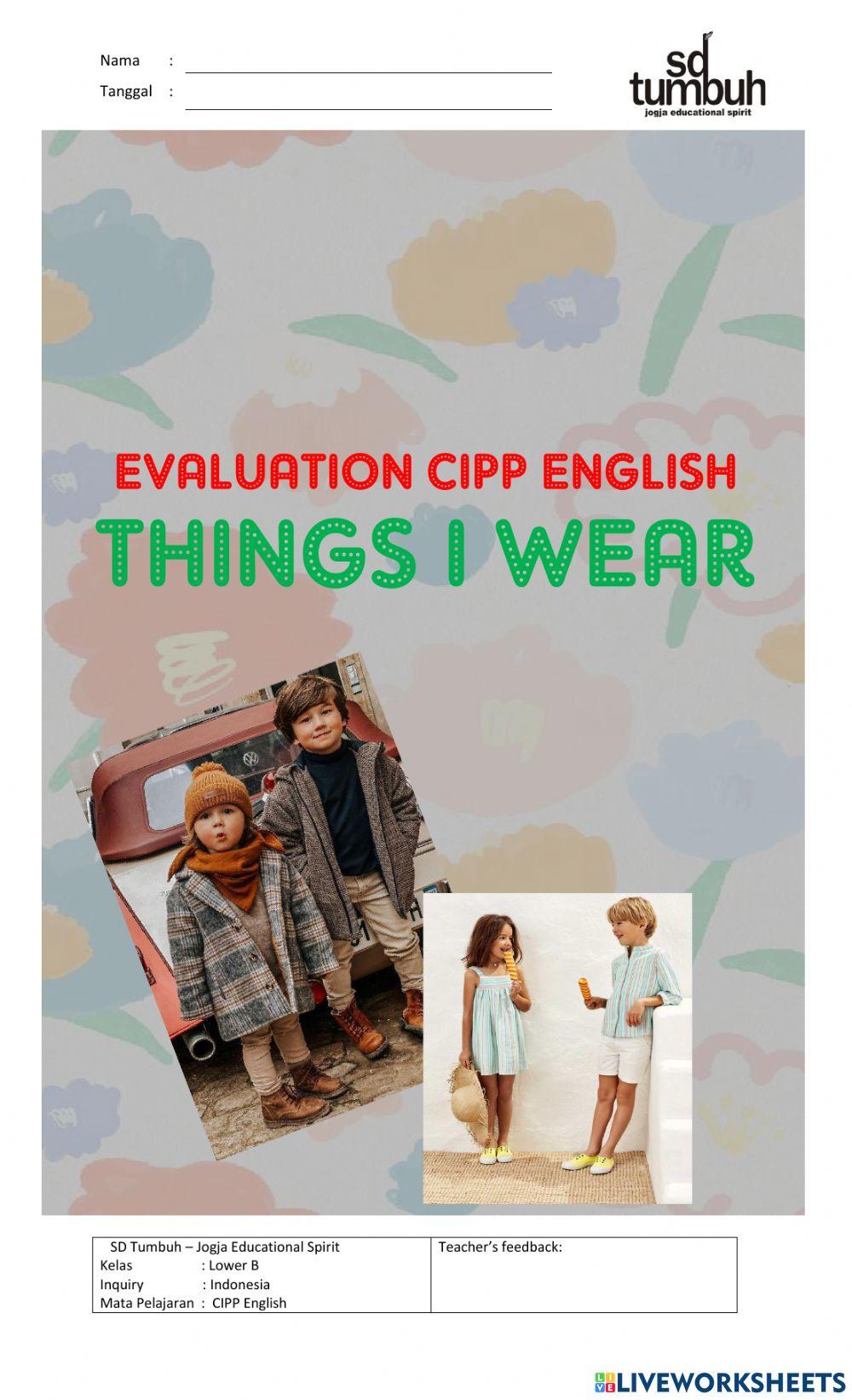 Evaluation Thing I Wear-B worksheet | Live Worksheets