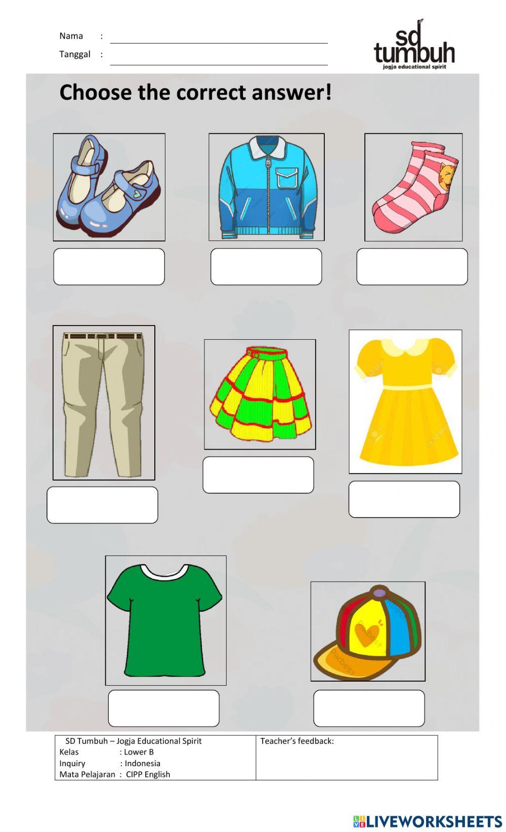 Evaluation Thing I Wear-B worksheet | Live Worksheets