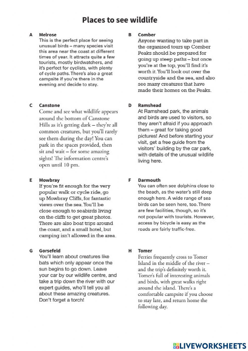 B1 PET READING … | Free Interactive Worksheets | 6859520