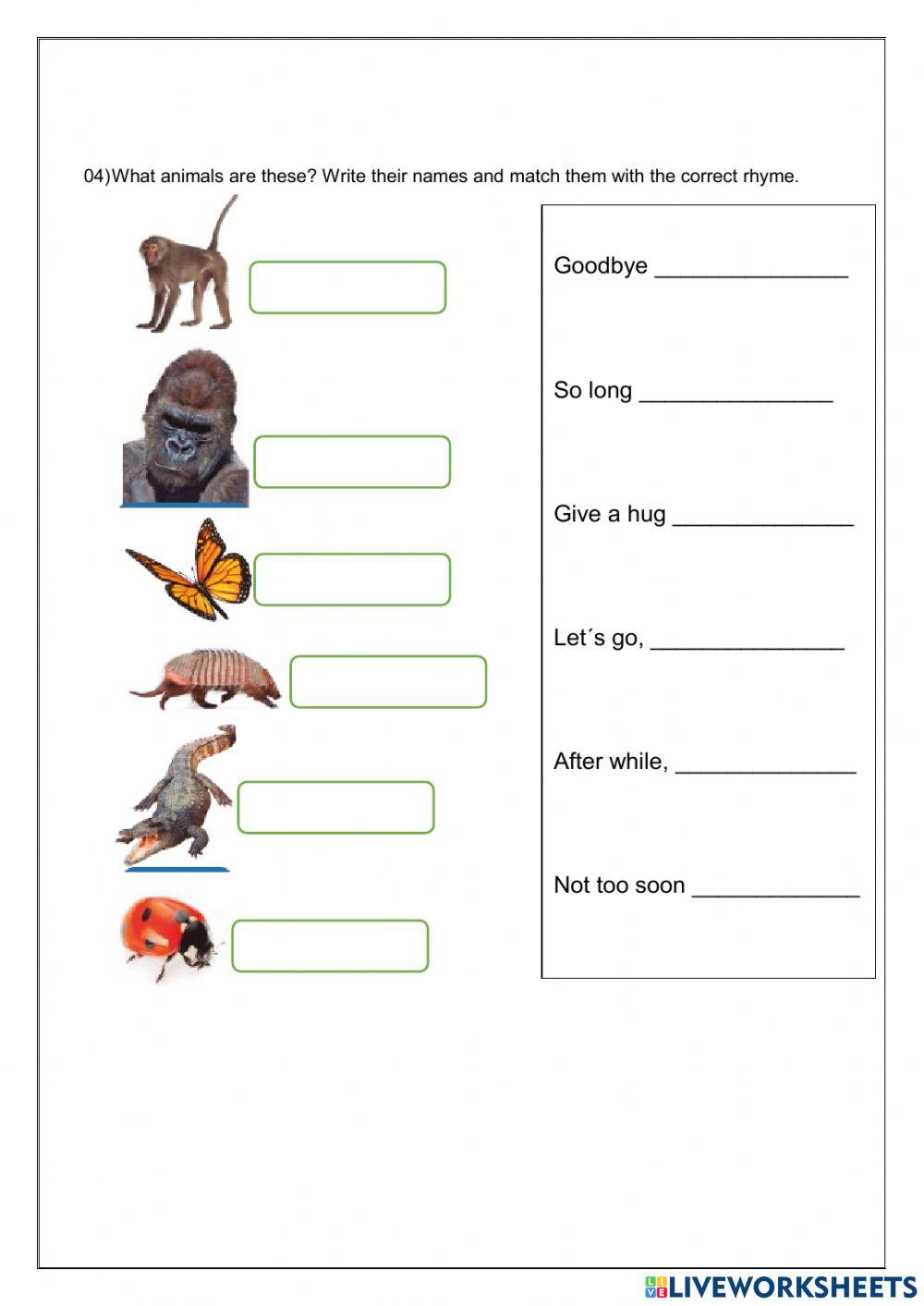 Review | Free Interactive Worksheets | 1980119