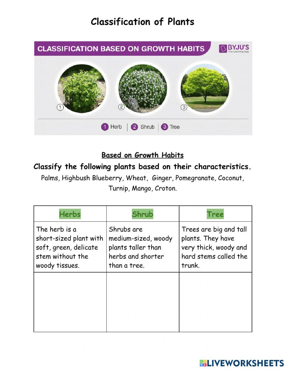Classification Of Plants Herbs Shrubs Trees