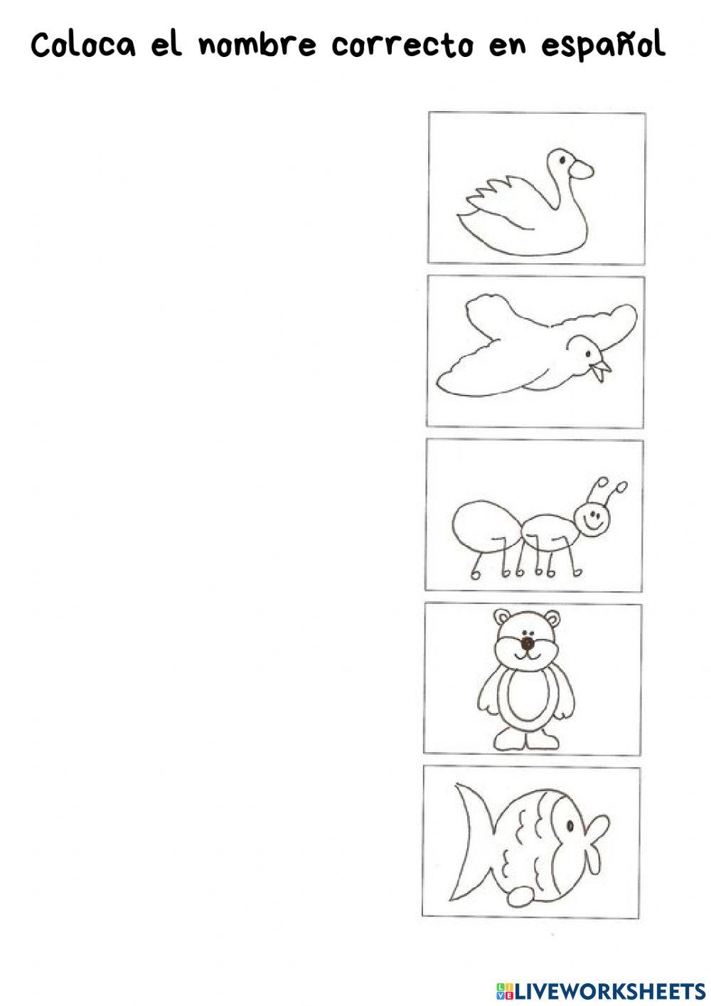 Hoja 3 activity | Live Worksheets