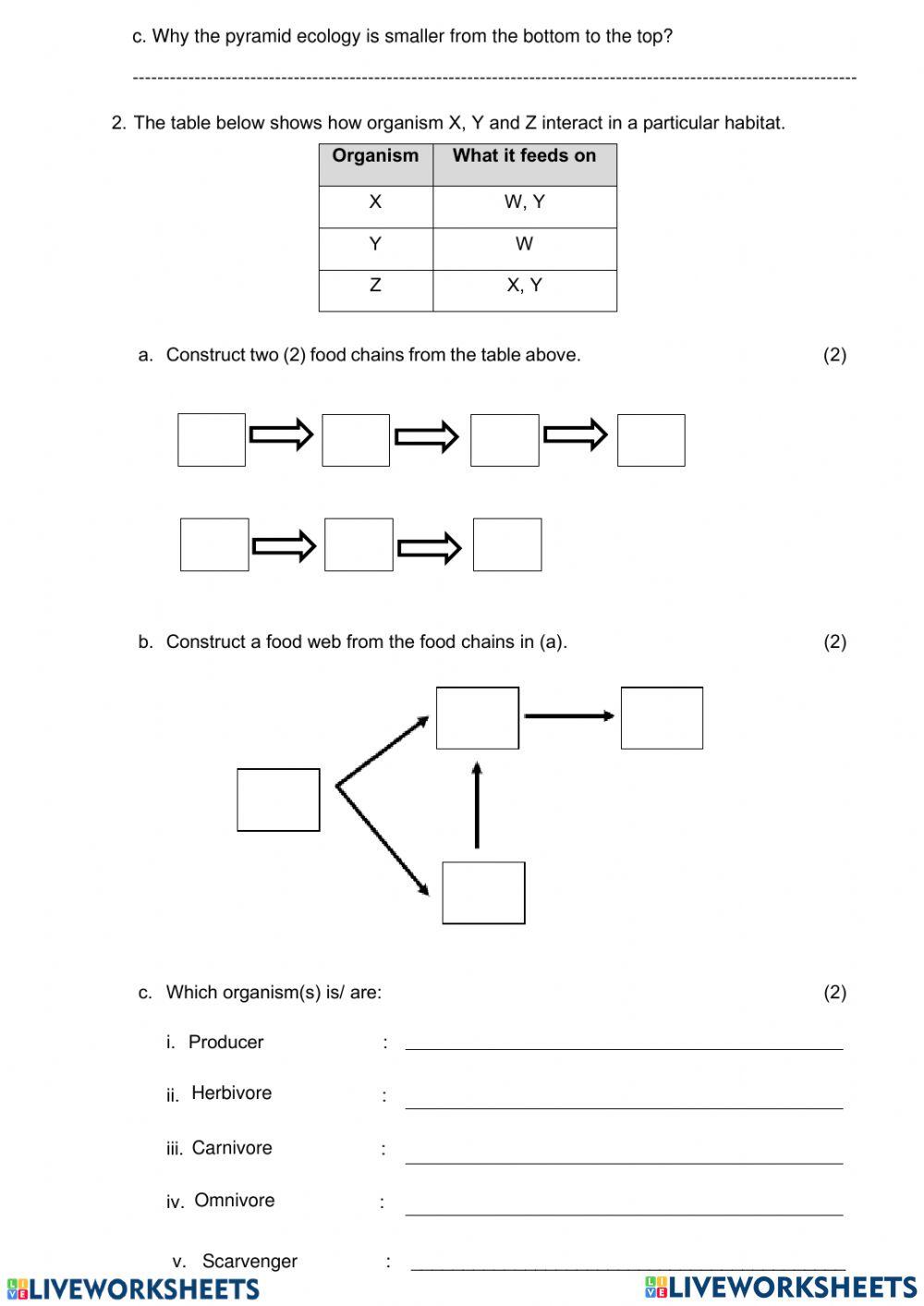 Food chain and food web online activity | Live Worksheets