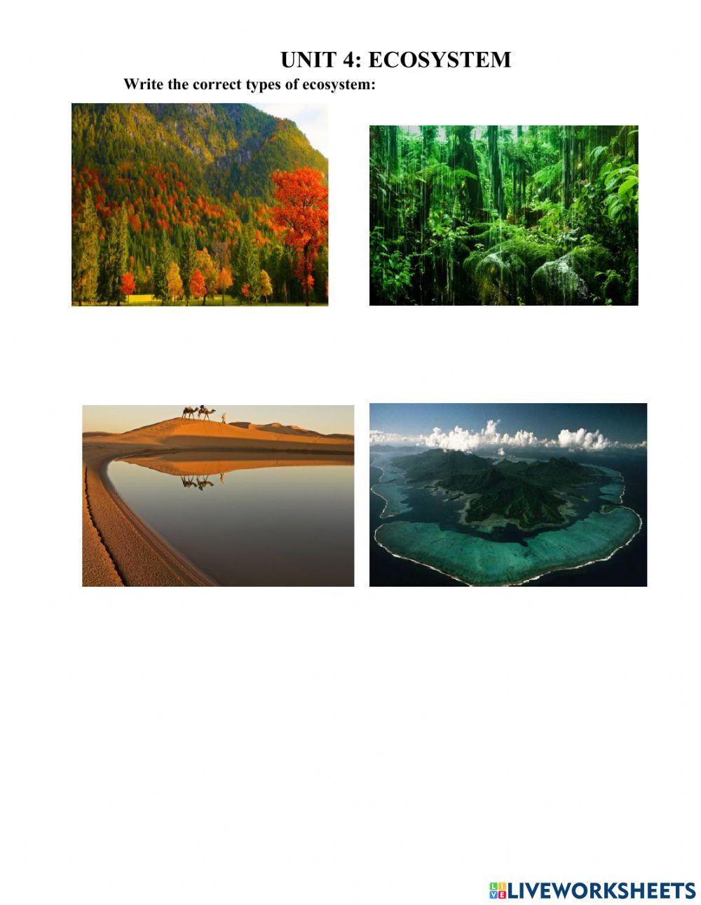 Ecosystem exercise for G5 | Live Worksheets